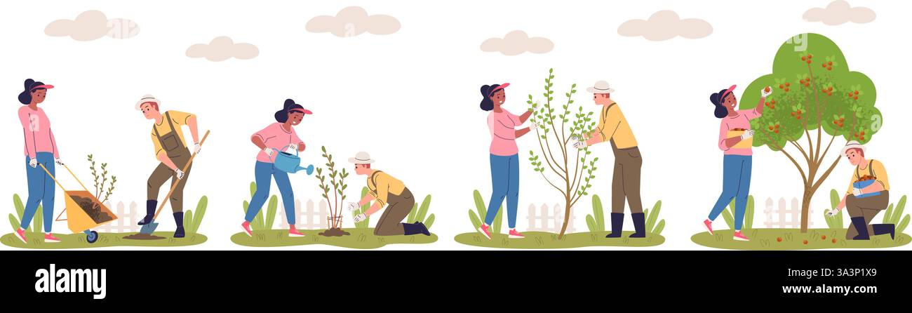 People planting tree stages. Man woman plants care growth fruit trees ...