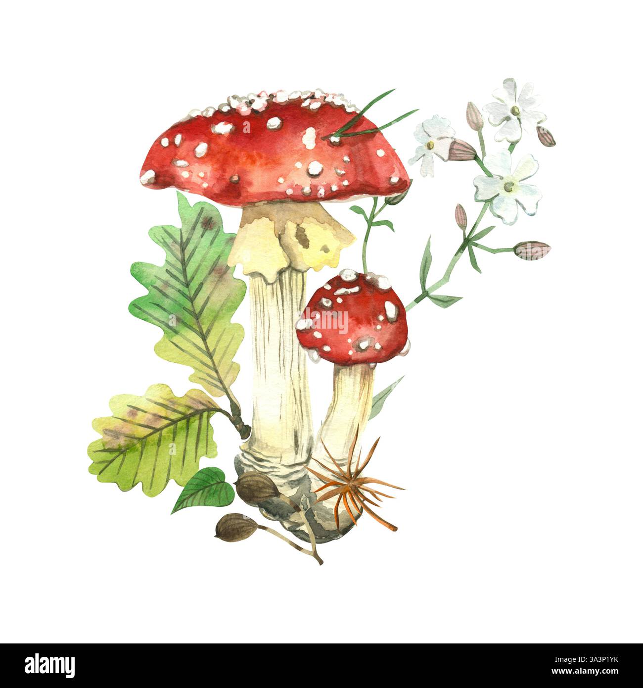 Bright red fly agaric with white spots on the cap, pine needles, oak ...