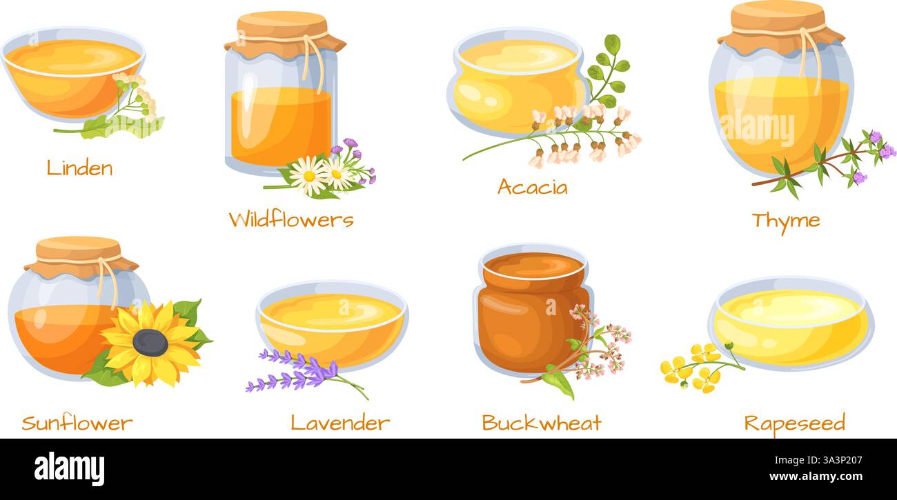 Cartoon honey jars. Honeys mead different type in glass jar or pot ...