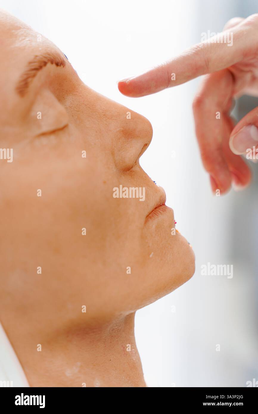 Example of human face to demonstrate rhinoplasty surgery. Demonstrating ...