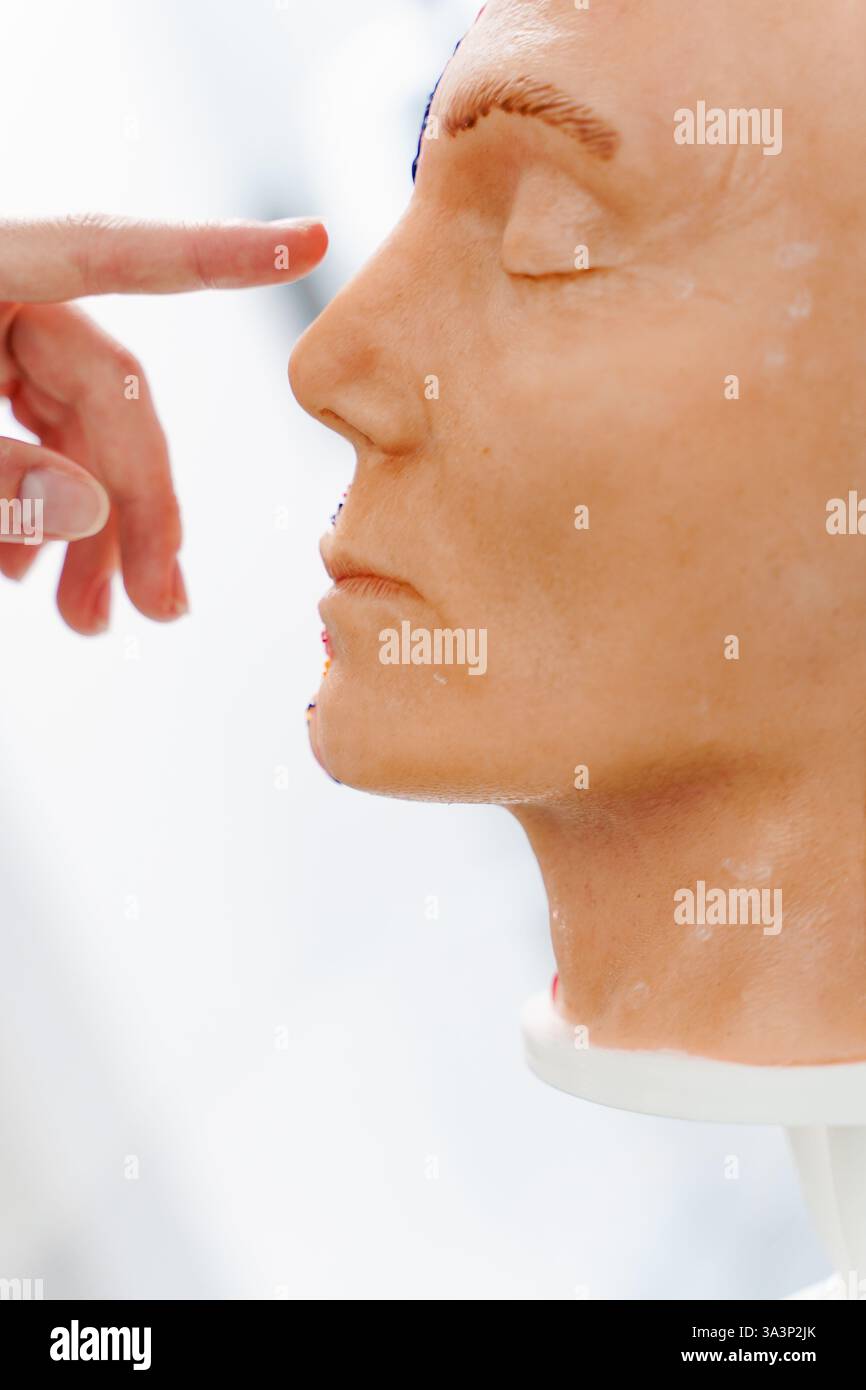 Demonstrating rhinoplasty procedure on a mannequin in the medical ...