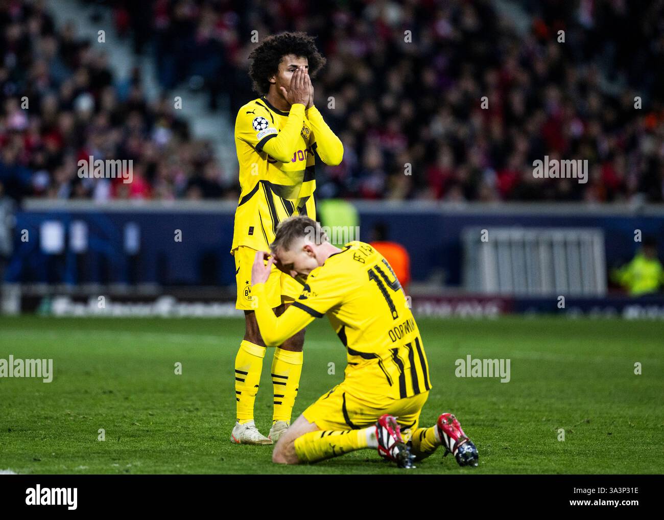 Maximilian beier 2024 hi-res stock photography and images - Alamy