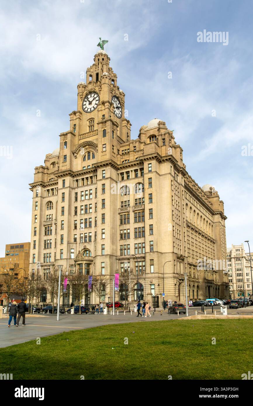 The Royal Liver building, Pier Head, Liverpool, England, UK completed ...