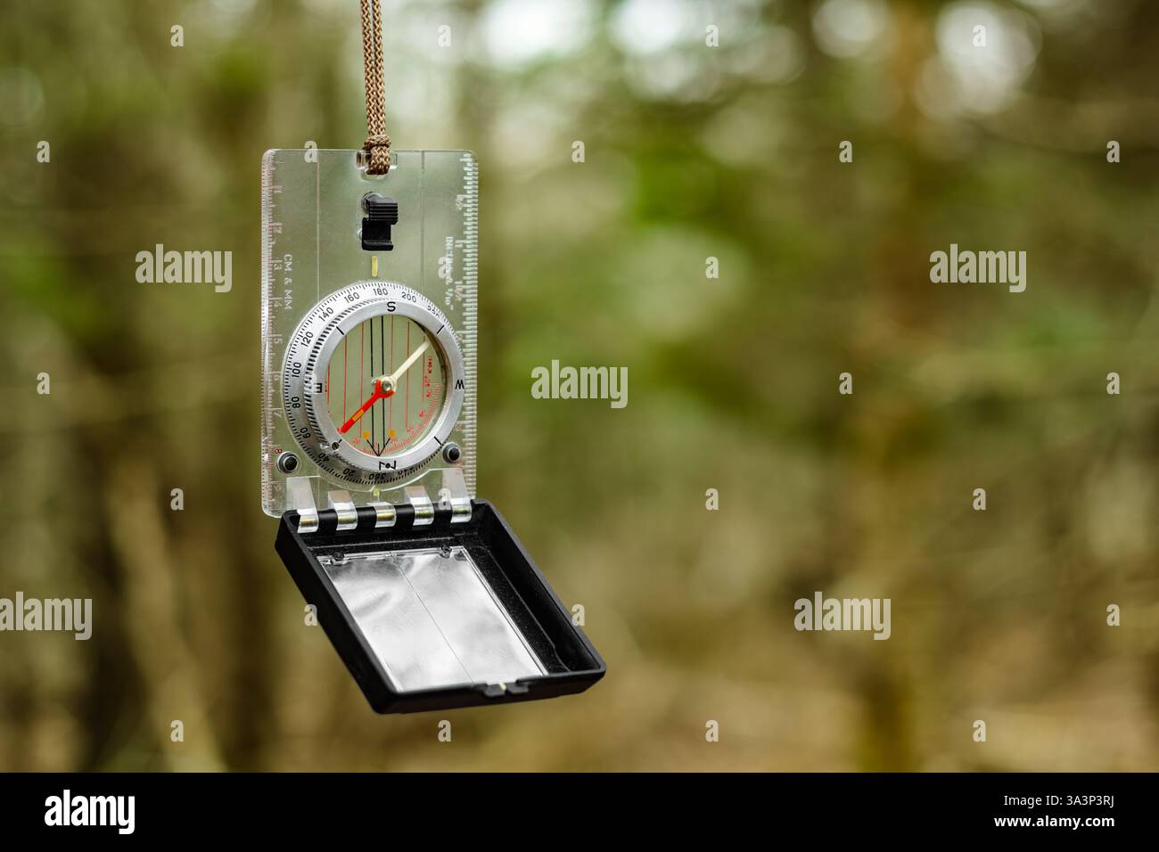 Magnetic compass hanging in the wilderness with copy space Stock Photo ...
