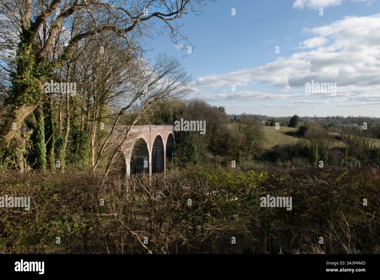 Bath Road Viaduct from Cowl Street, Shepton Mallet, Somerset, England ...