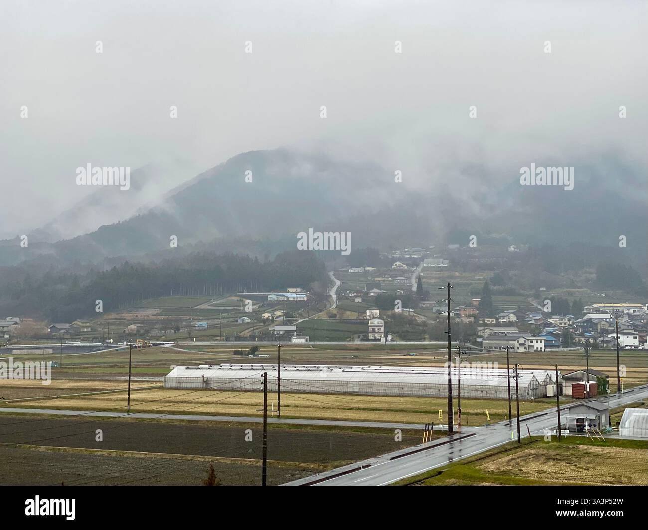 This serene landscape captures the peaceful essence of the Japanese ...