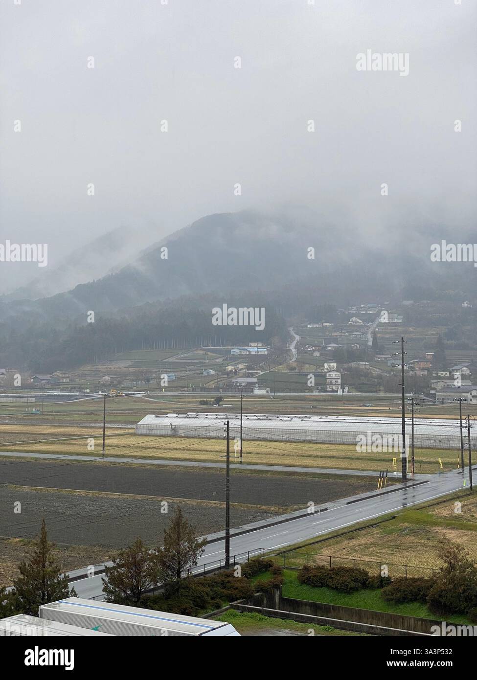 This serene landscape captures the peaceful essence of the Japanese ...