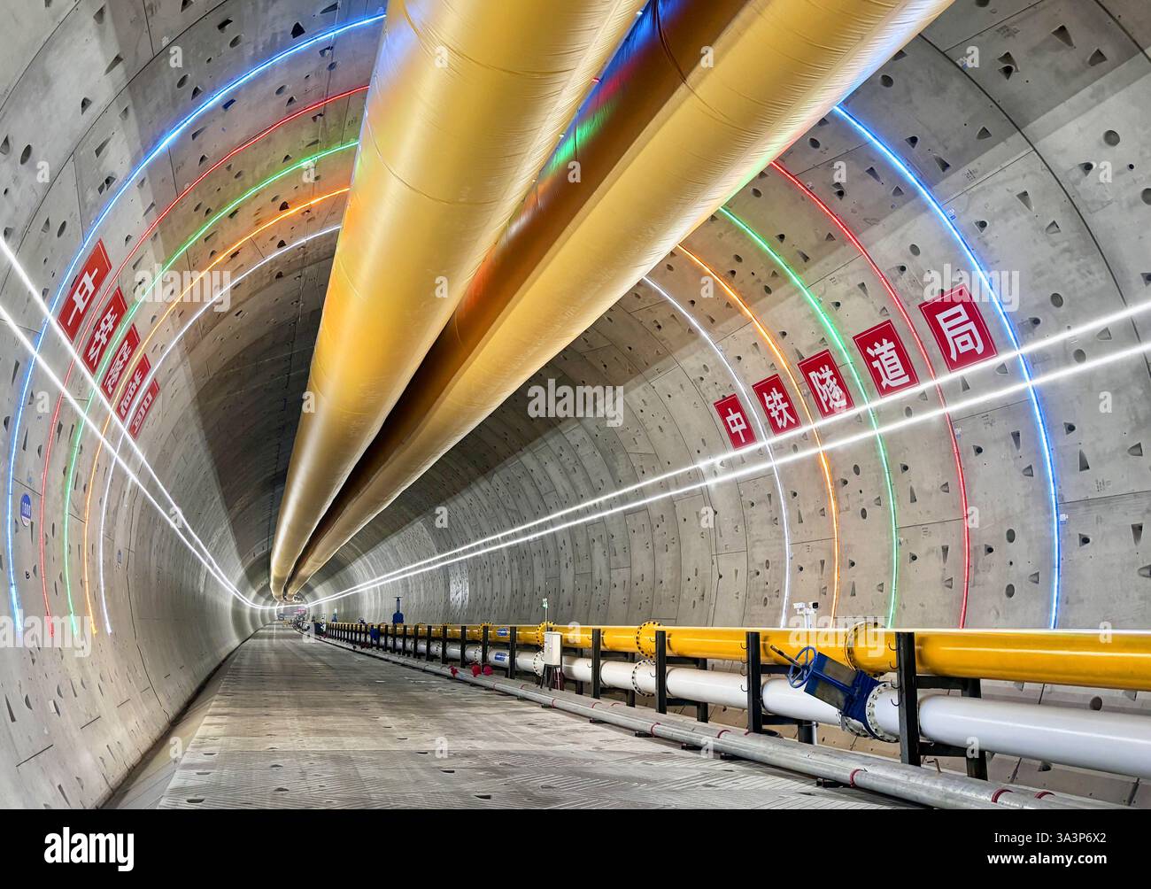 (250317) -- SHANGHAI, March 17, 2025 (Xinhua) -- The interior view of ...