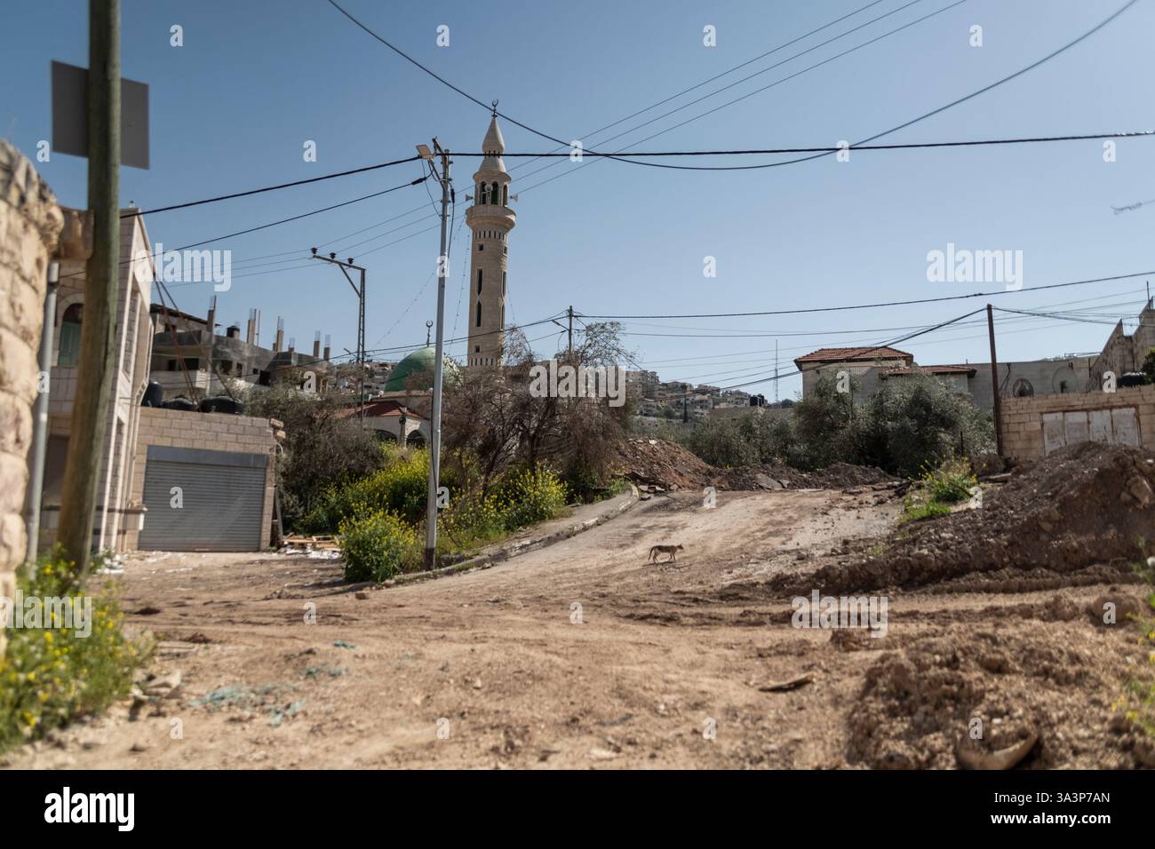 March 15, 2025, Jenin, Jenin Governorate, Israel: The Jenin refugee ...