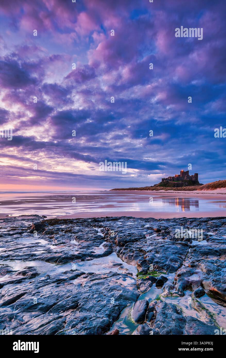 View of Bamburgh Castle at dawn from Bamburgh beach in Northumberland ...