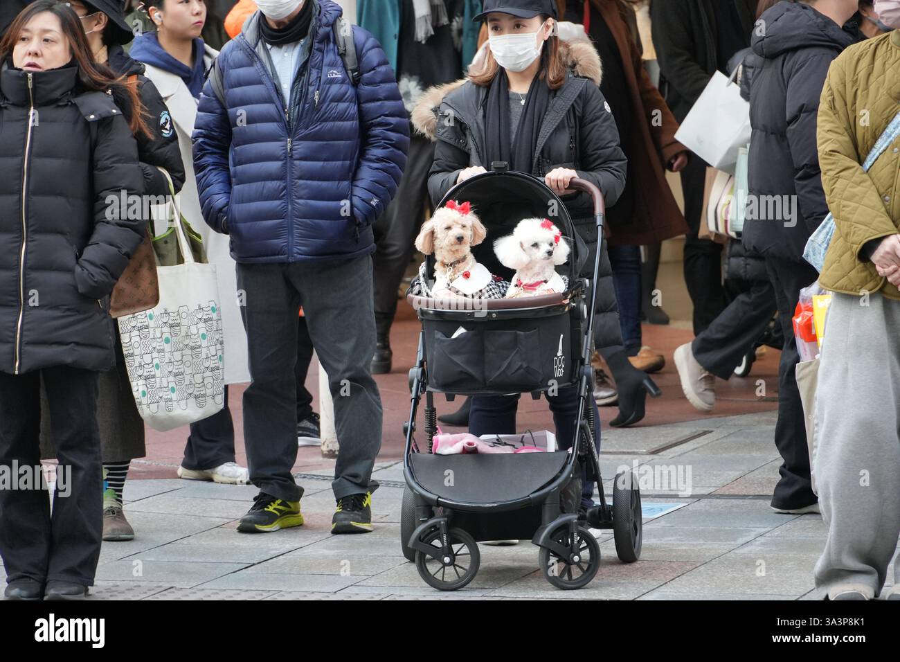 Stroller japan hi-res stock photography and images - Alamy