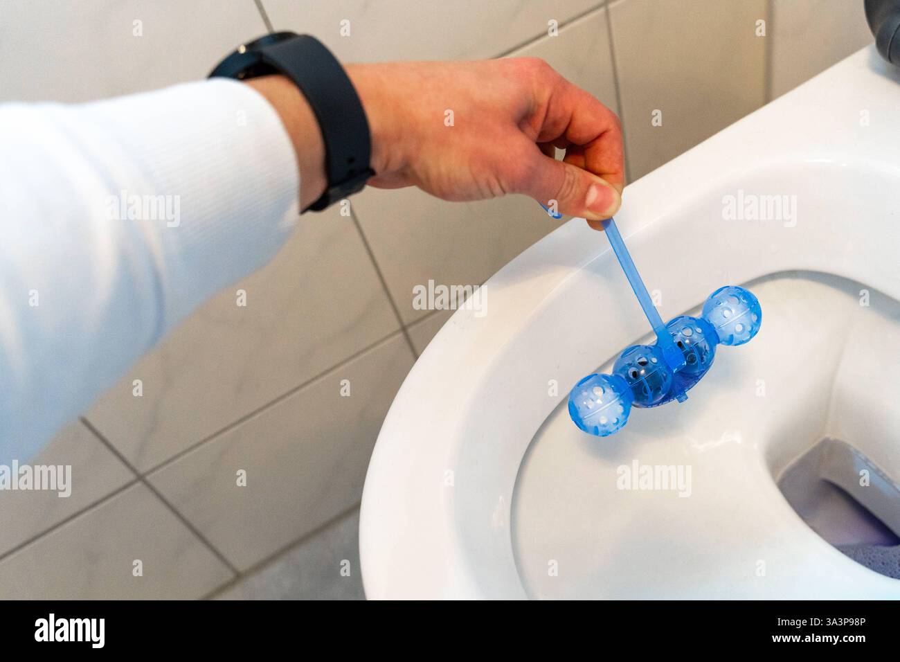 Bavaria, Germany - March 16, 2025: Man hangs a blue toilet stone in the ...