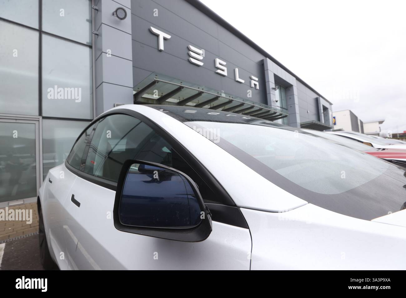 Cars on the forecourt of the Tesla dealership on the Boucher Road in ...