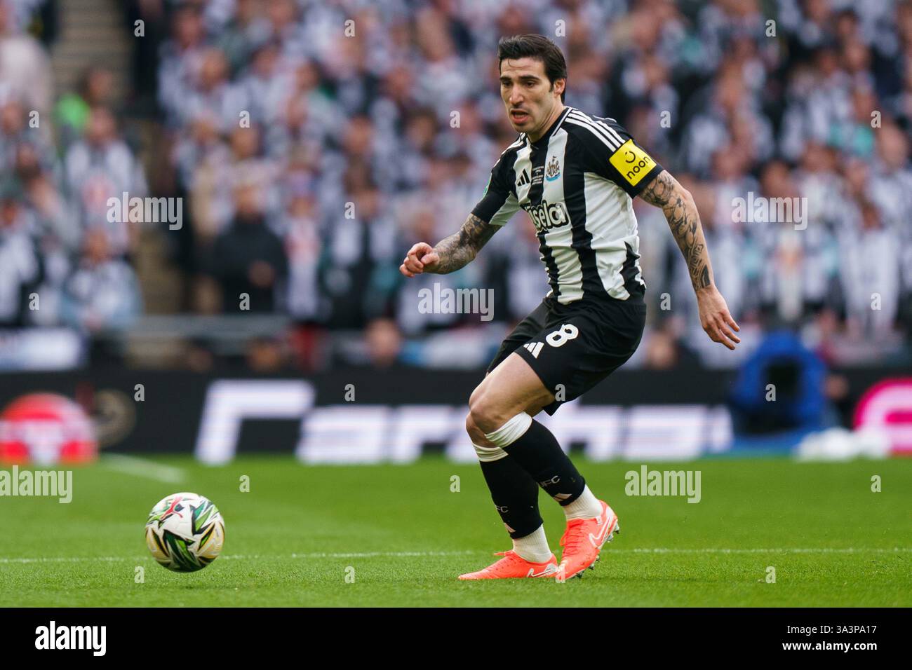 London, UK. 16th Mar, 2025. Sandro Tonali of Newcastle United during ...