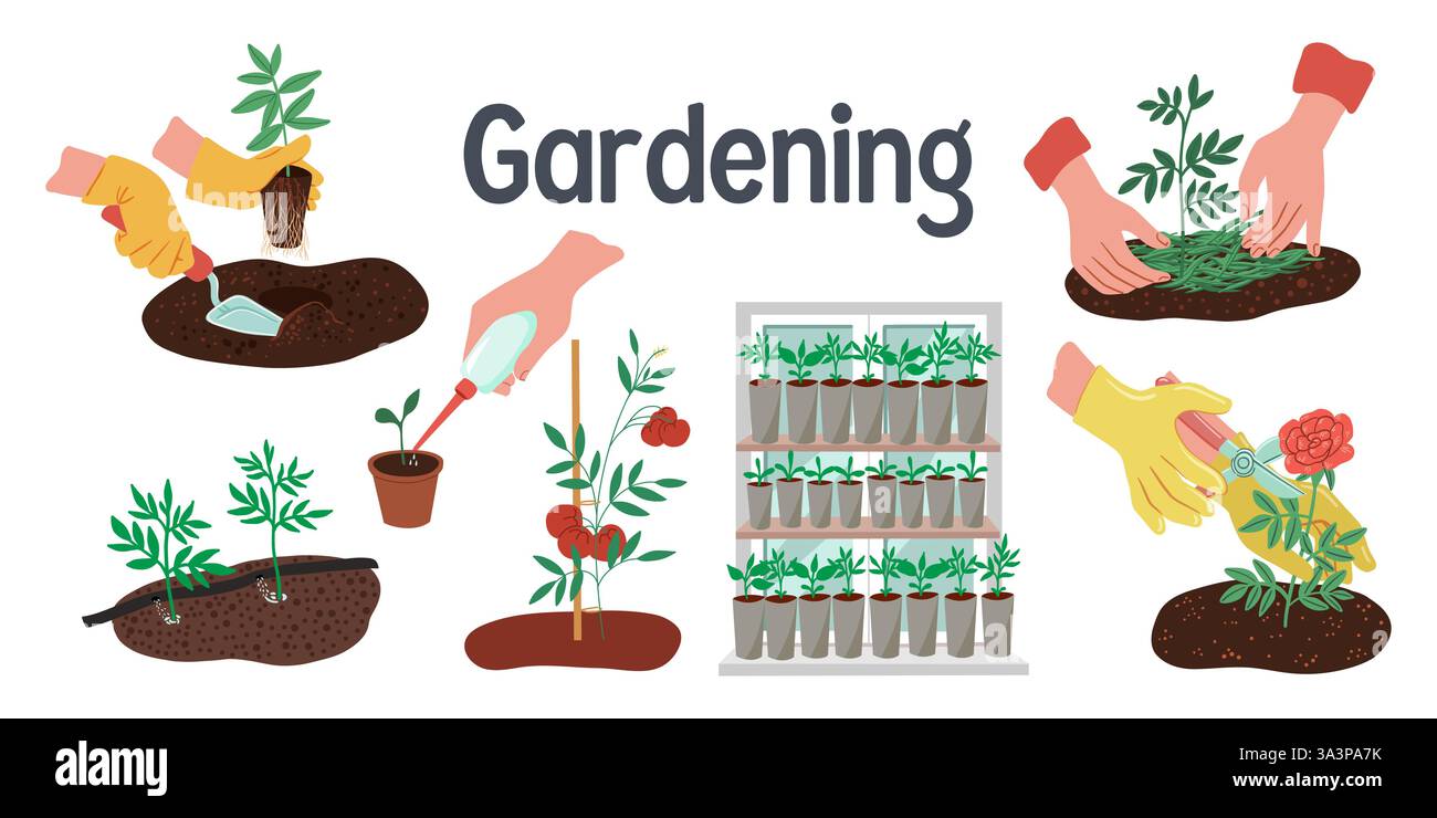 Set of vector illustrations about growing plants and vegetables ...