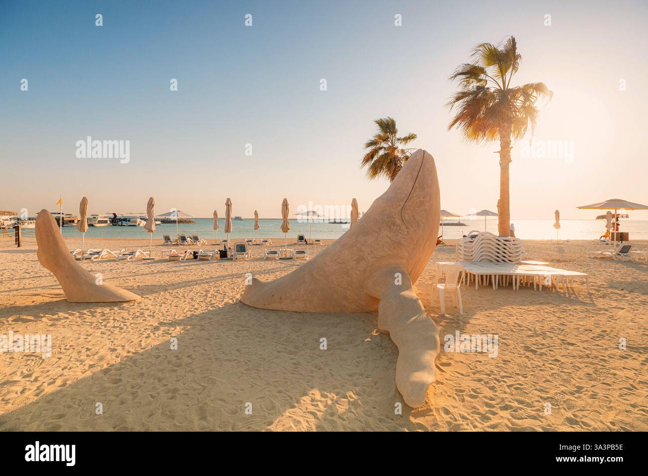 22 January 2025, Abu Dhabi, UAE: Whale sculpture made of sand are ...