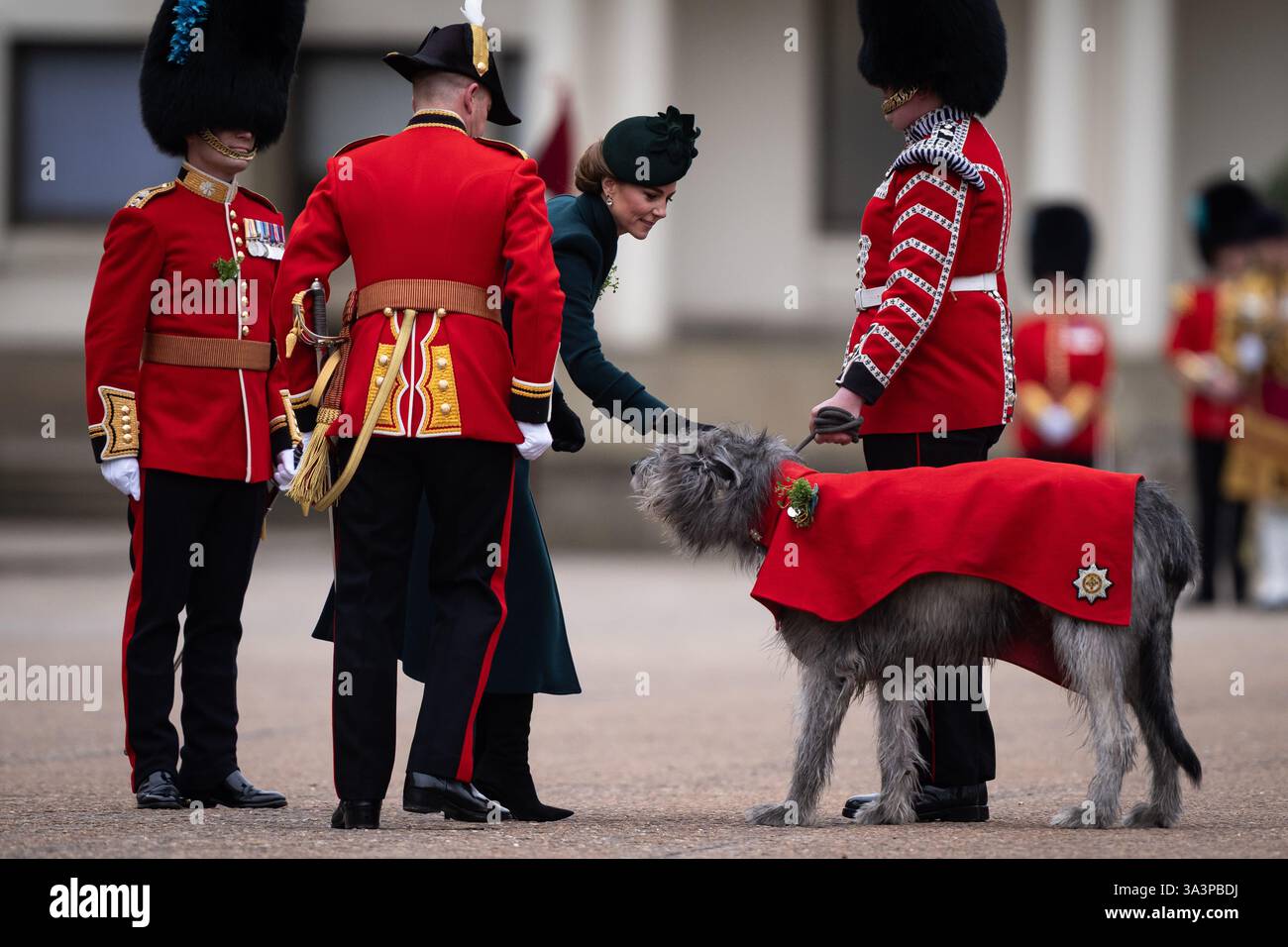The Princess of Wales presents the traditional sprigs of shamrock to ...