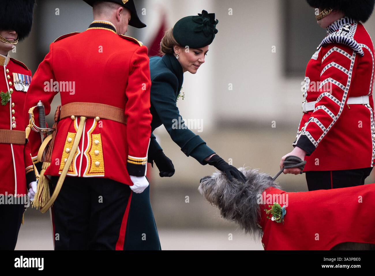 The Princess of Wales presents the traditional sprigs of shamrock to ...