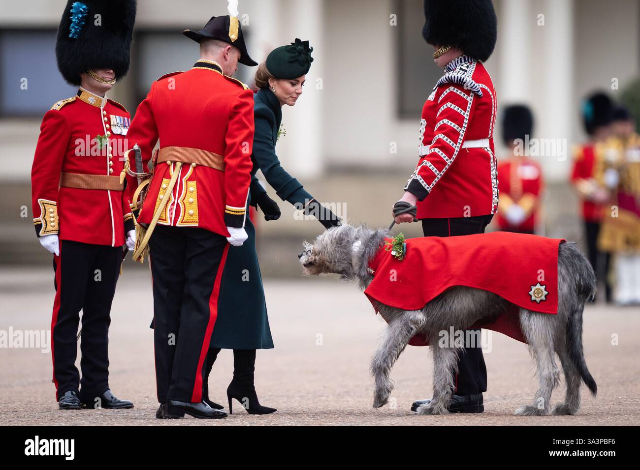 The Princess of Wales presents the traditional sprigs of shamrock to ...