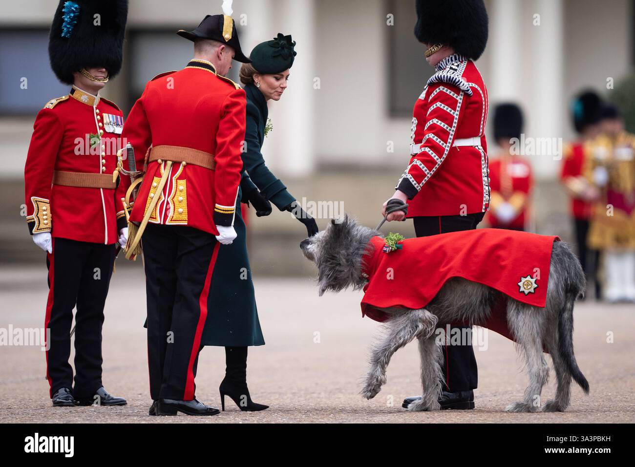 The Princess of Wales presents the traditional sprigs of shamrock to ...