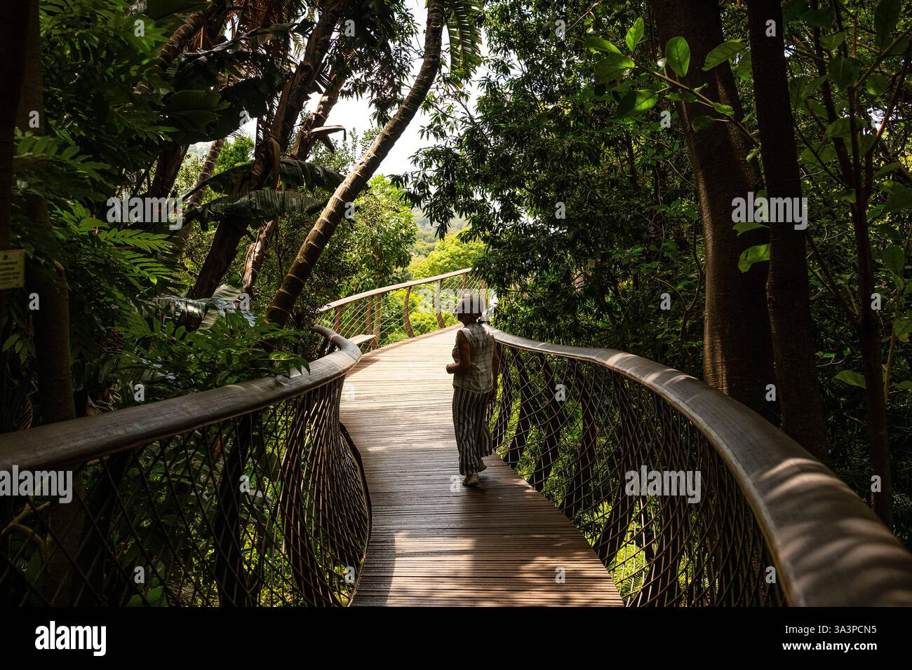 Kerstinbosch hi-res stock photography and images - Alamy