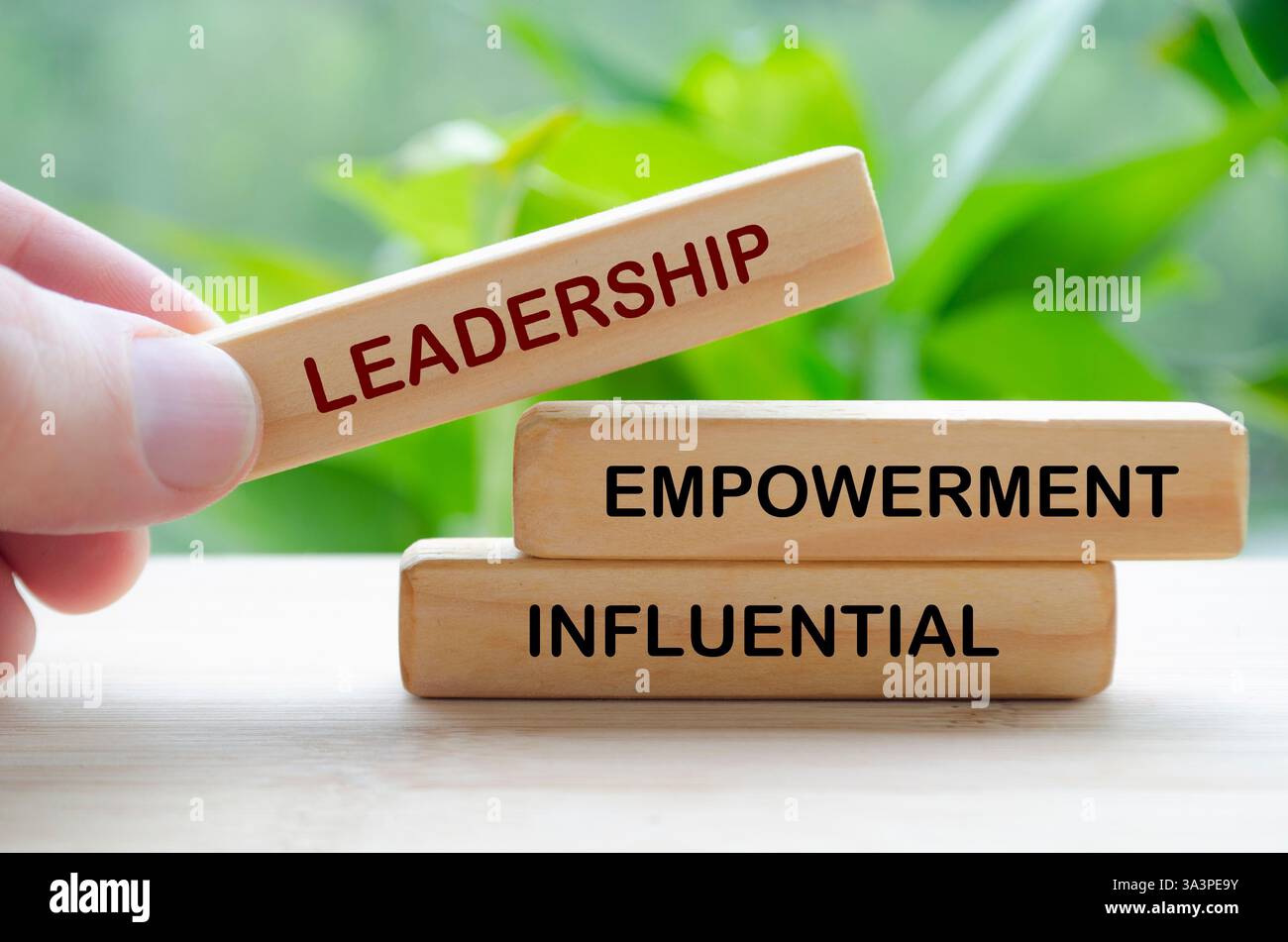 Leadership, empowerment and influential text on wooden blocks ...