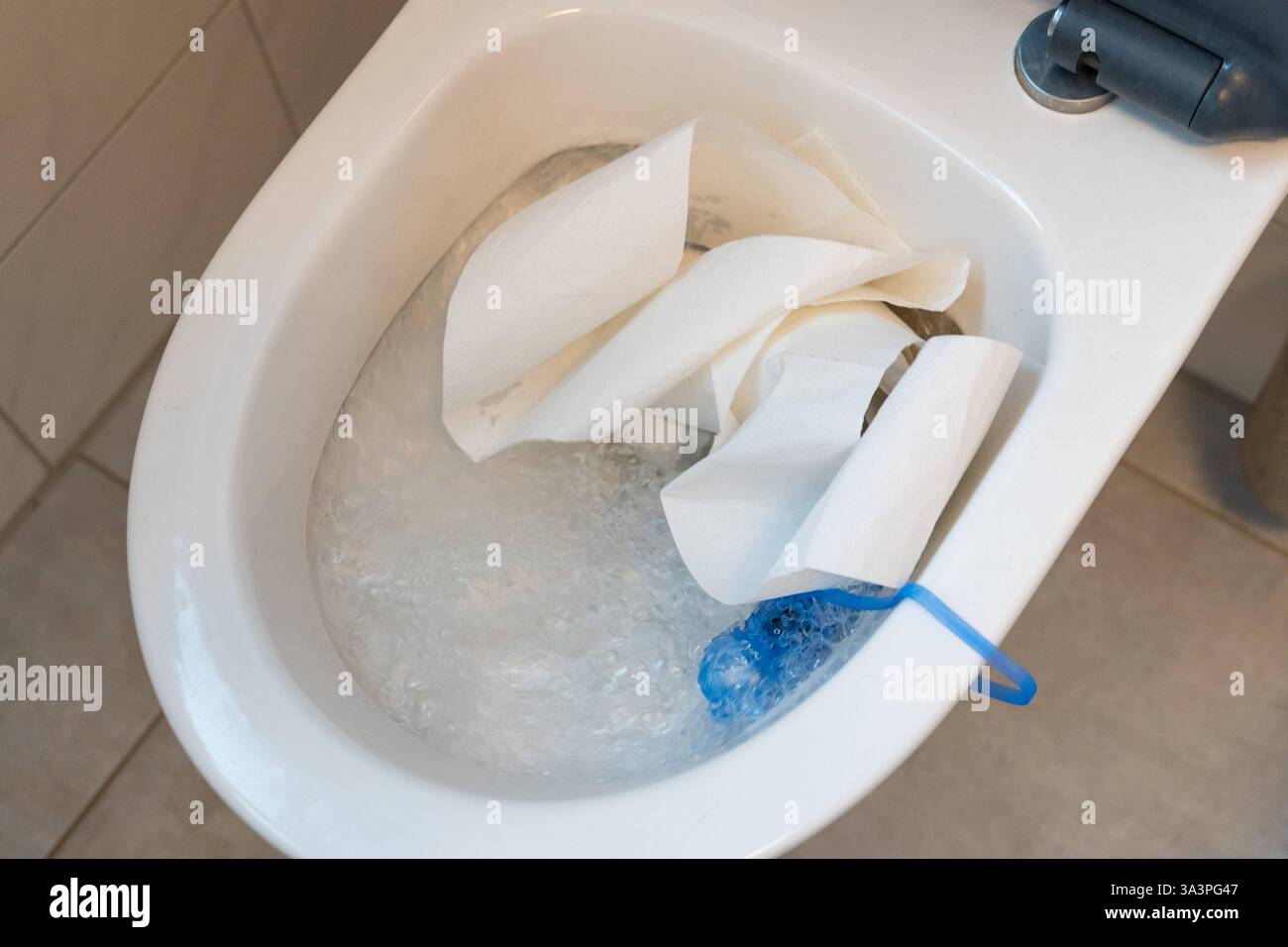 Bavaria, Germany - March 16, 2025: A toilet is blocked because too much ...