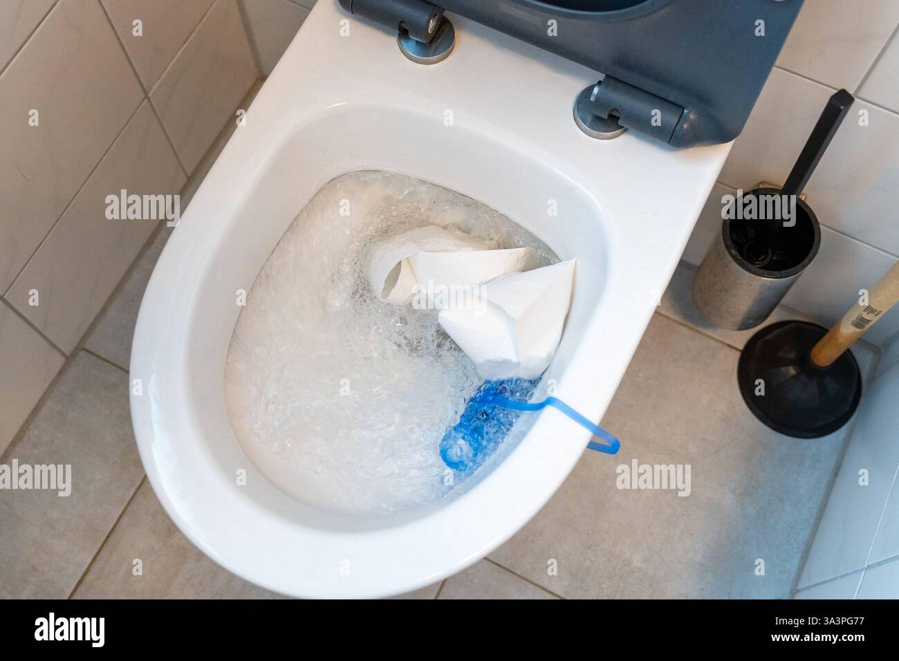 Bavaria, Germany - March 16, 2025: A toilet is blocked because too much ...