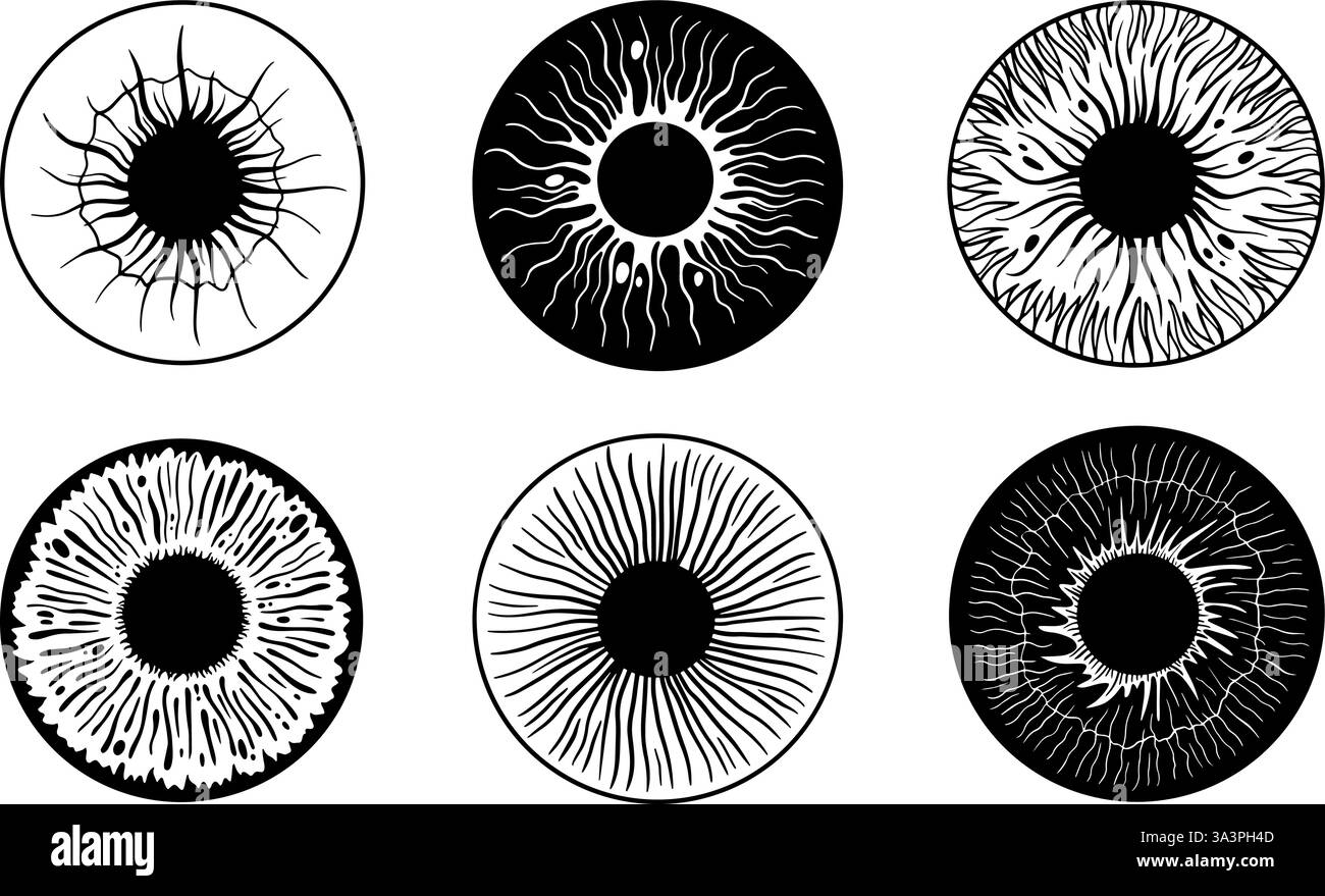 Human eye structure. Iris anatomical elements, abstract person irises ...