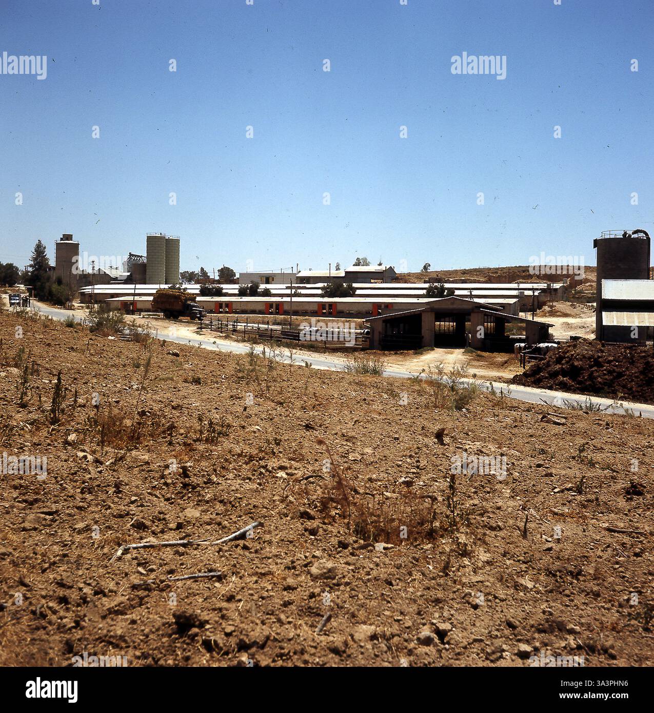Location; Israel; Grain silos on Kibbutz Shoval Stock Photo - Alamy