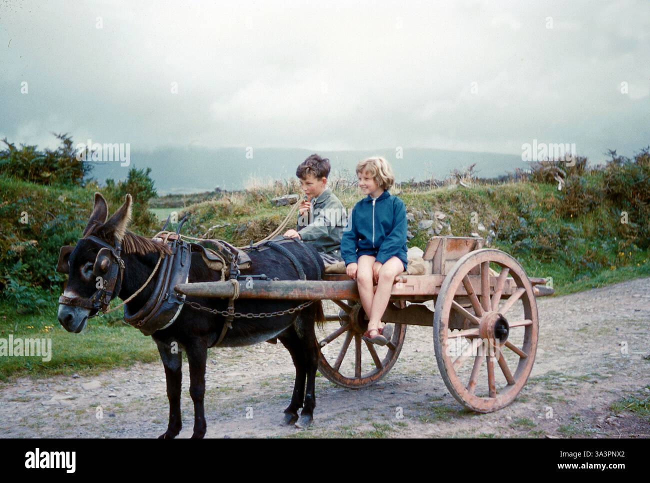 1959. Children on a traditional wooden cart pulled by a donkey, Dingle ...