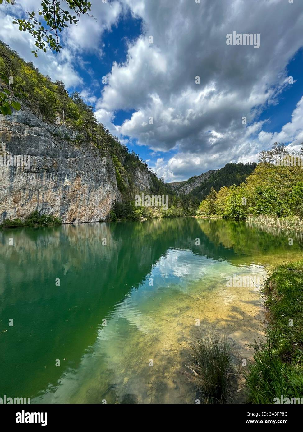 Spajići Lake on the Beli Rzav River, nestled in the stunning Mount Tara ...