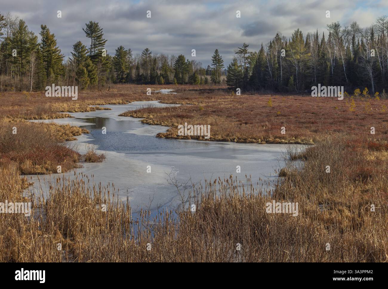 A March wetland in the Clam Lake area of northern Wisconsin Stock Photo ...