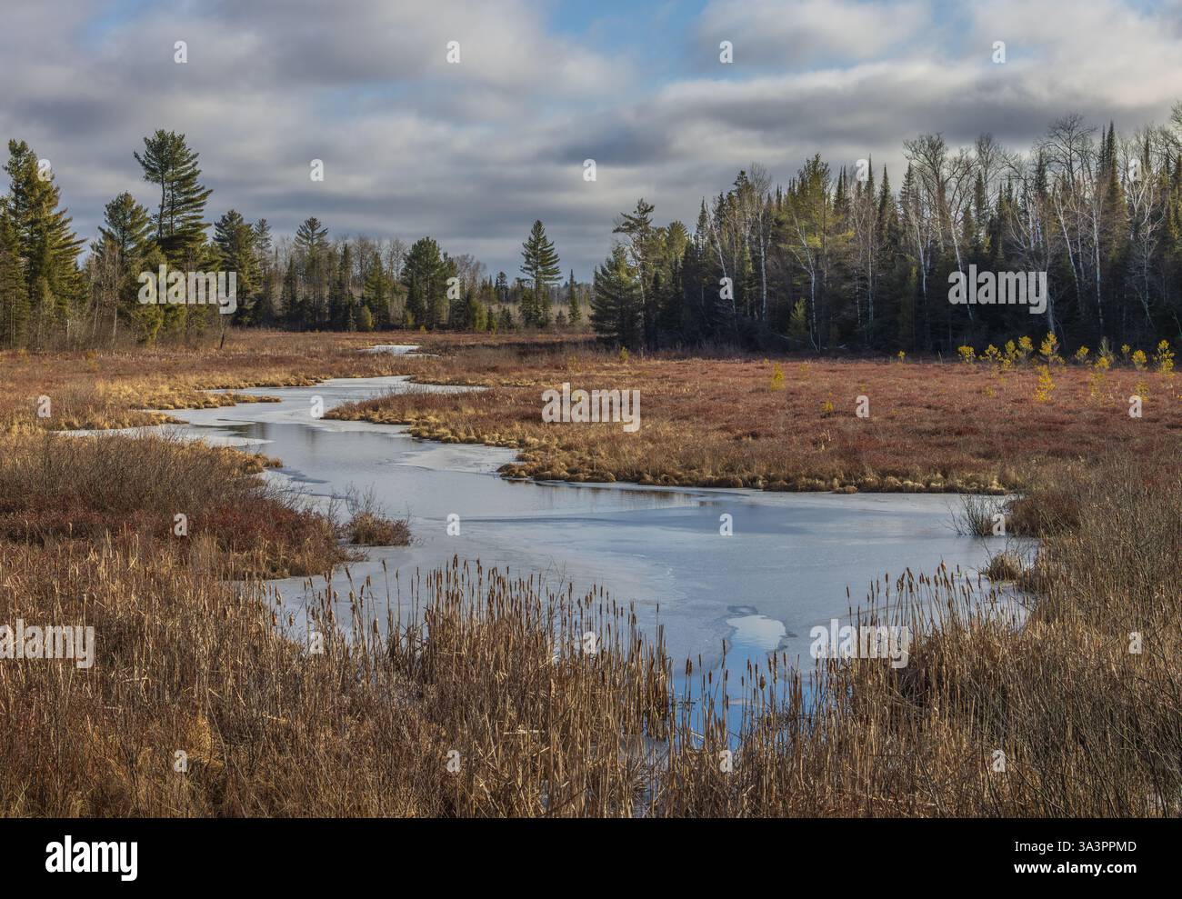 A March wetland in the Clam Lake area of northern Wisconsin Stock Photo ...