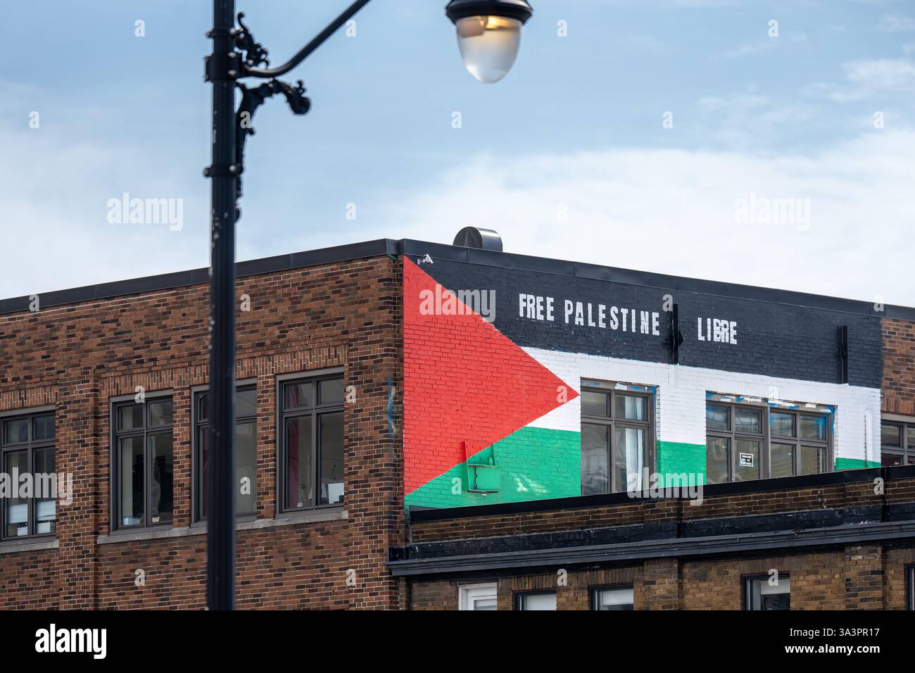 A mural featuring the Palestinian flag and the words "Free Palestine ...