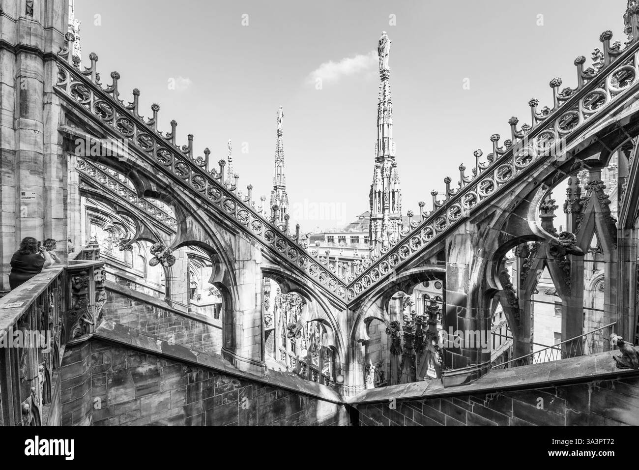The ornamental rooftop of the Duomo in Milan showcases intricate Gothic ...