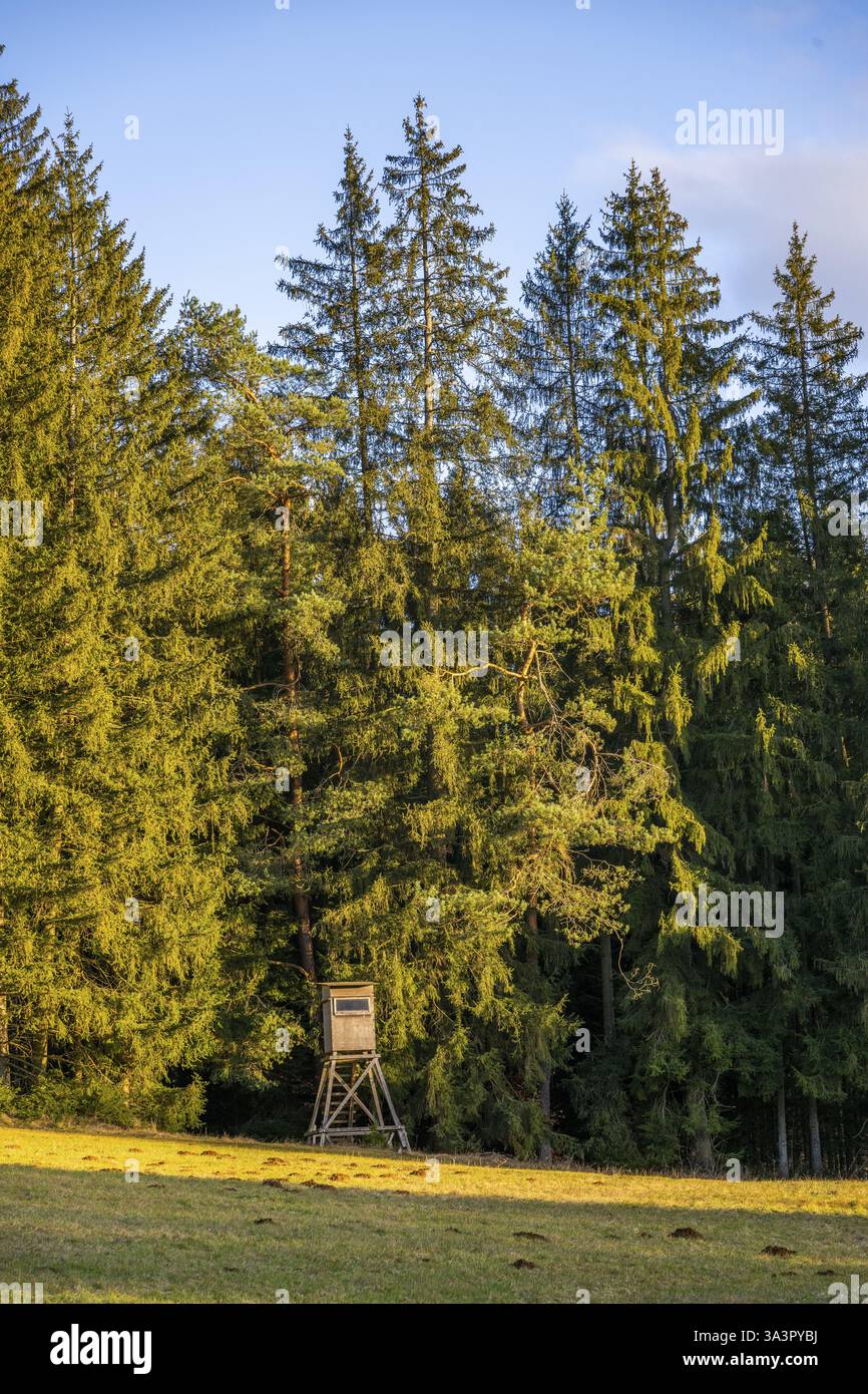 Ladscape of an Edge of the forest with a hunting stand, Lengenbach ...