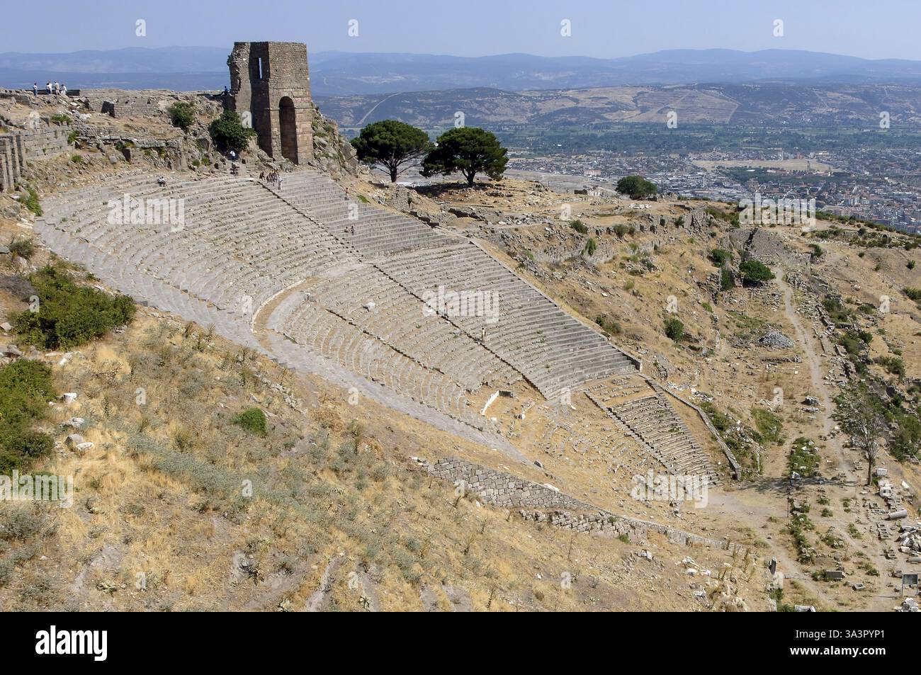 View of amphitheatre built into steep slope right next to it two trees ...