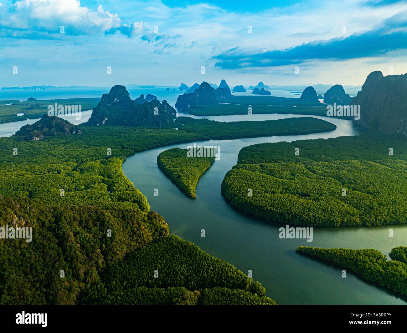 aerial view of Canals winding in the mangroves create a heart-shaped ...