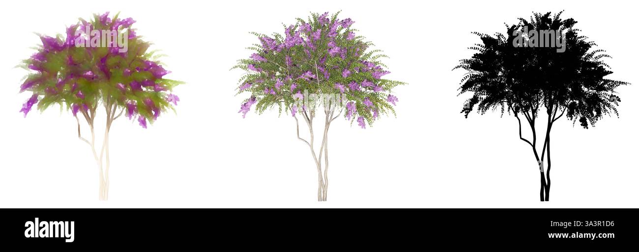 Set or collection of Crape Myrtle trees, painted, natural and as a ...