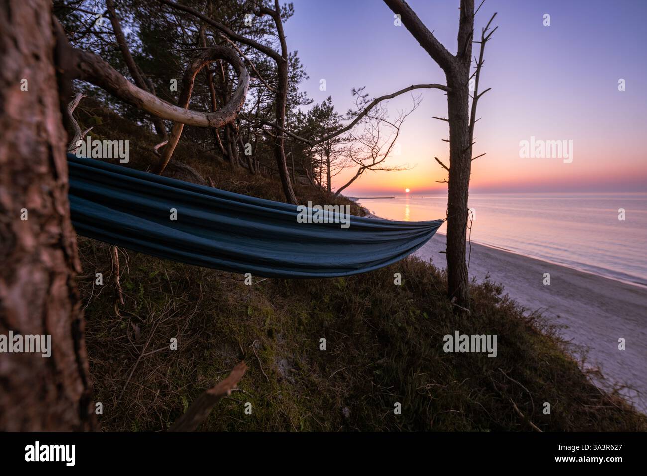 Hammock hung on trees hi-res stock photography and images - Alamy