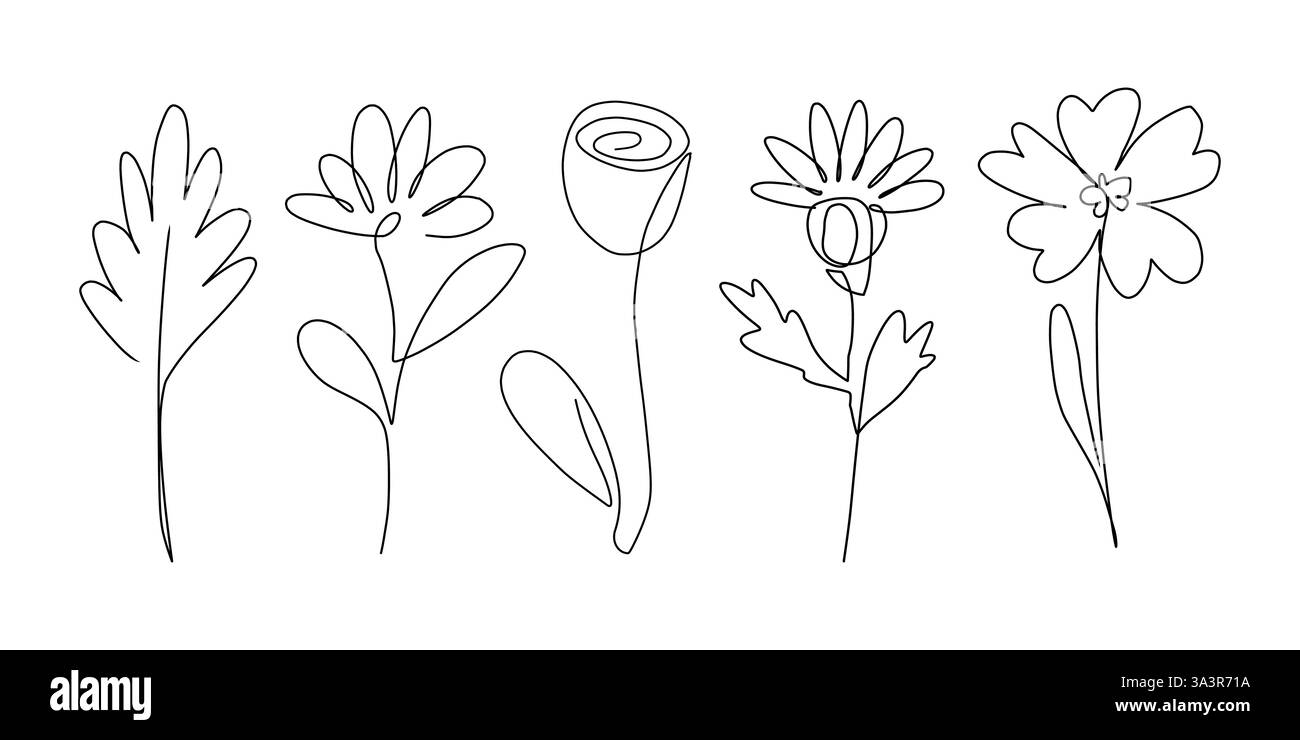Minimalistic line drawing of various flowers and leaves in black on a ...
