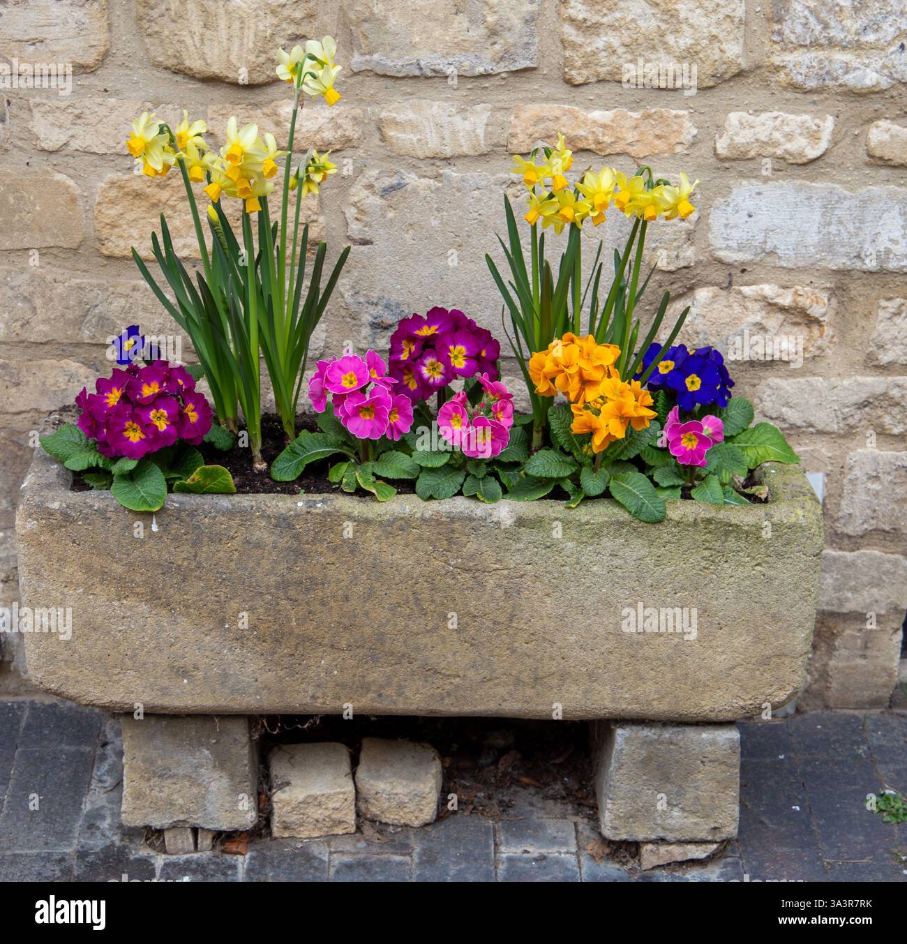Colorful spring flowers planted in a stone trough against a rustic ...