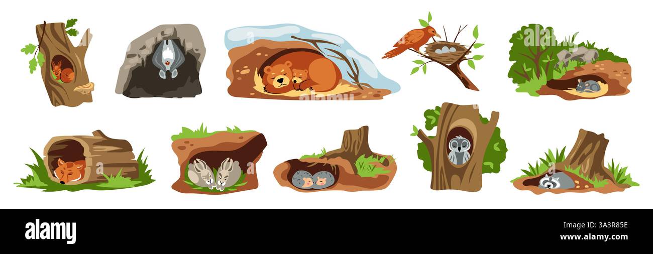 Animal on tree. Forest bird nest. Hollow as owl house. Cartoon nature ...