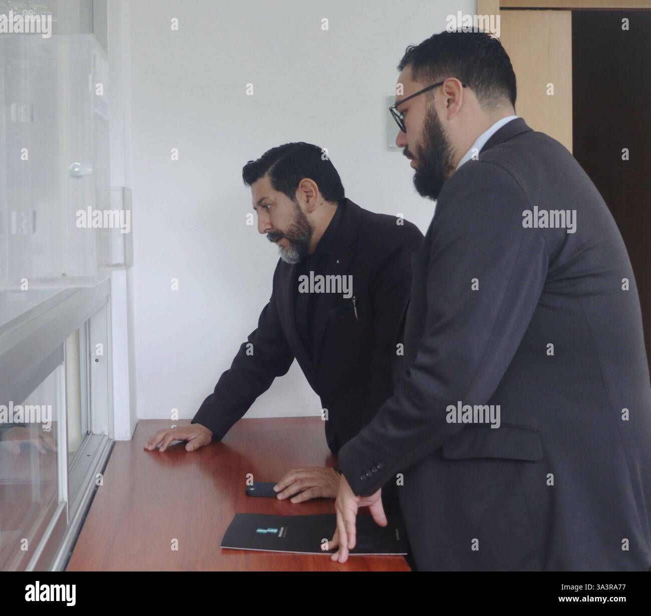 WASHINGTON ANDRADE CONSTITUTIONAL COURT Quito, Monday, March 17, 2025 ...