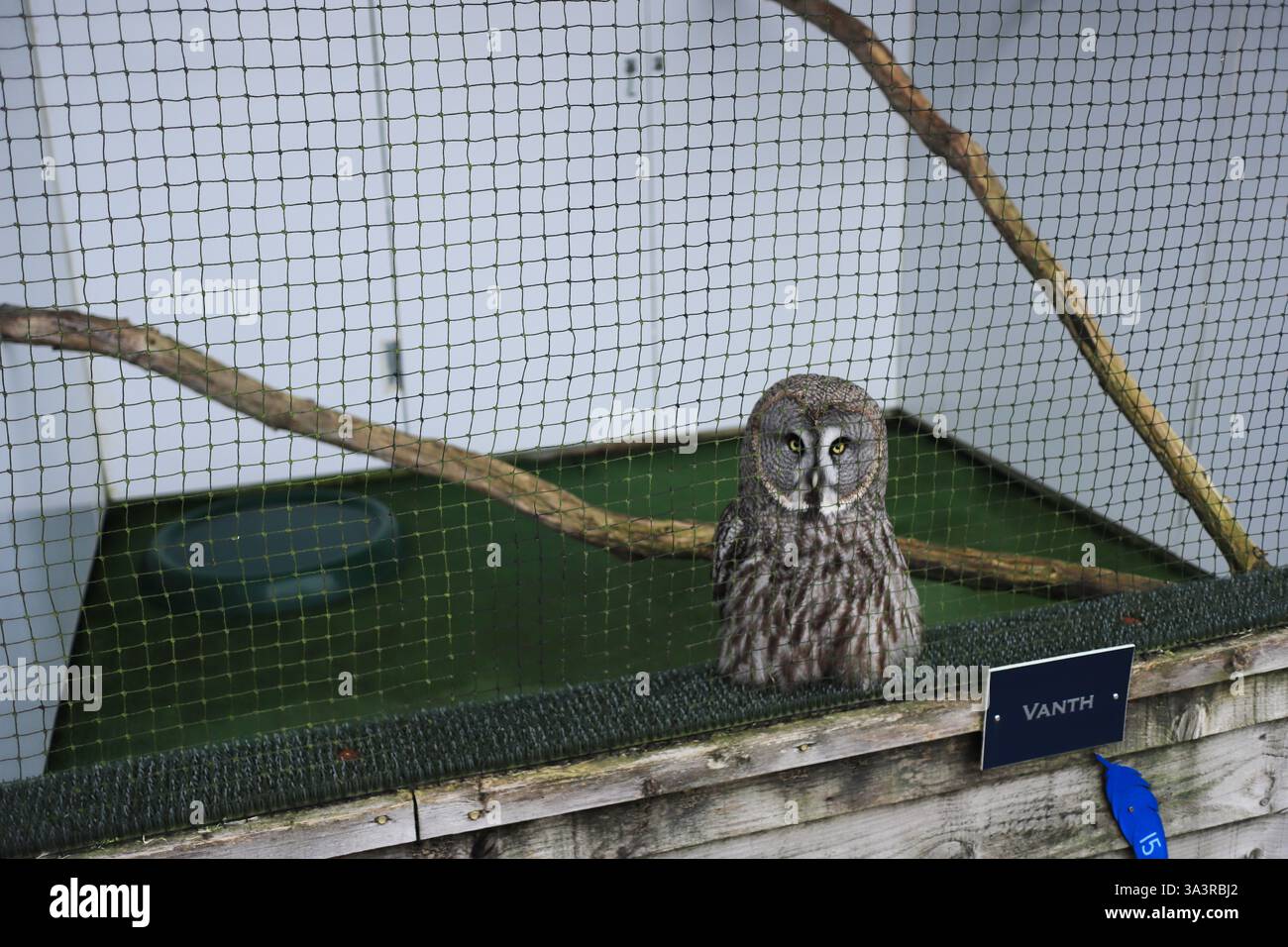 The British Bird of Prey Centre at the National Botanic Garden of Wales ...