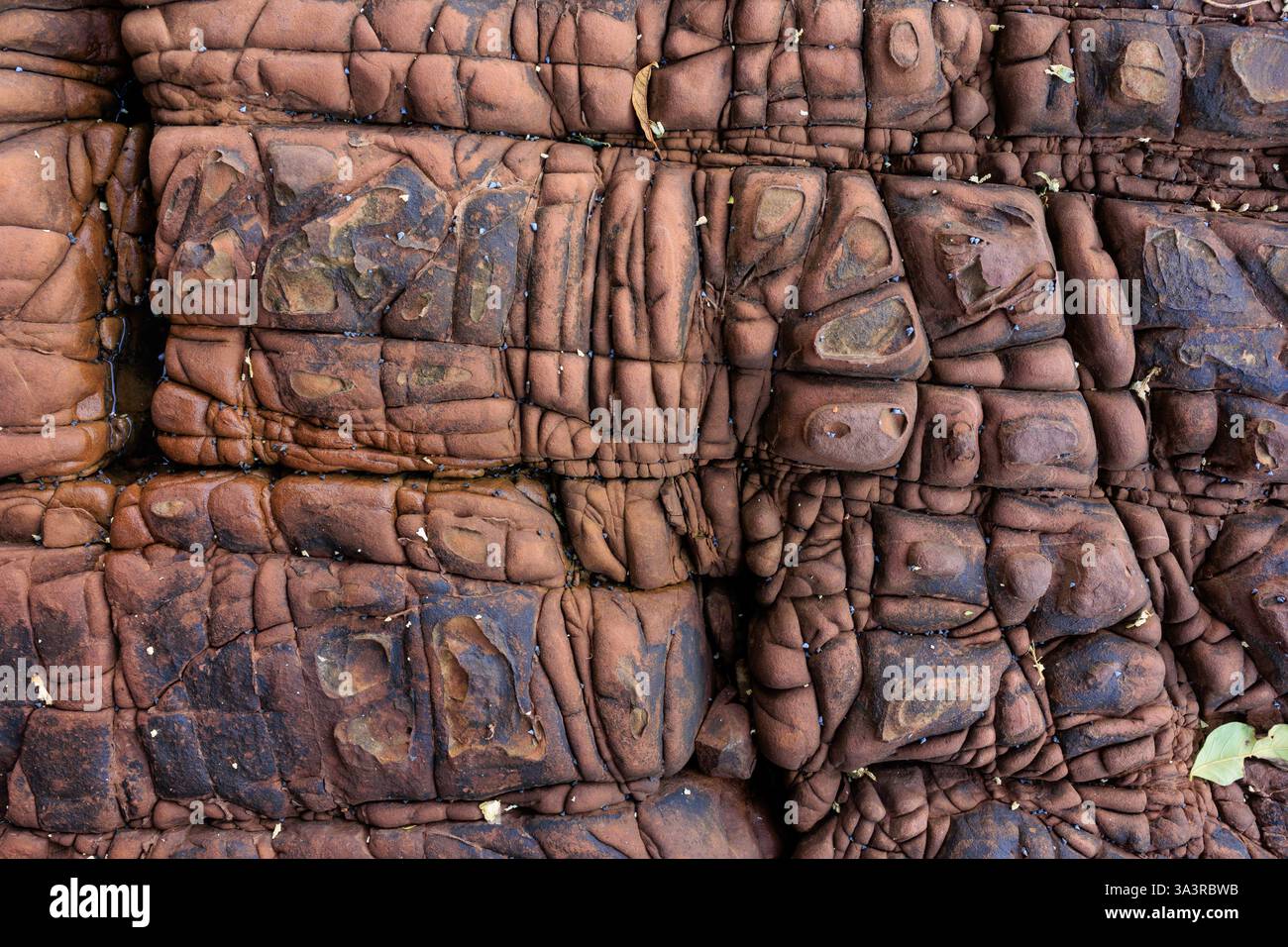 Erosion drawing incredible abstract patterns on the limestone rocks ...
