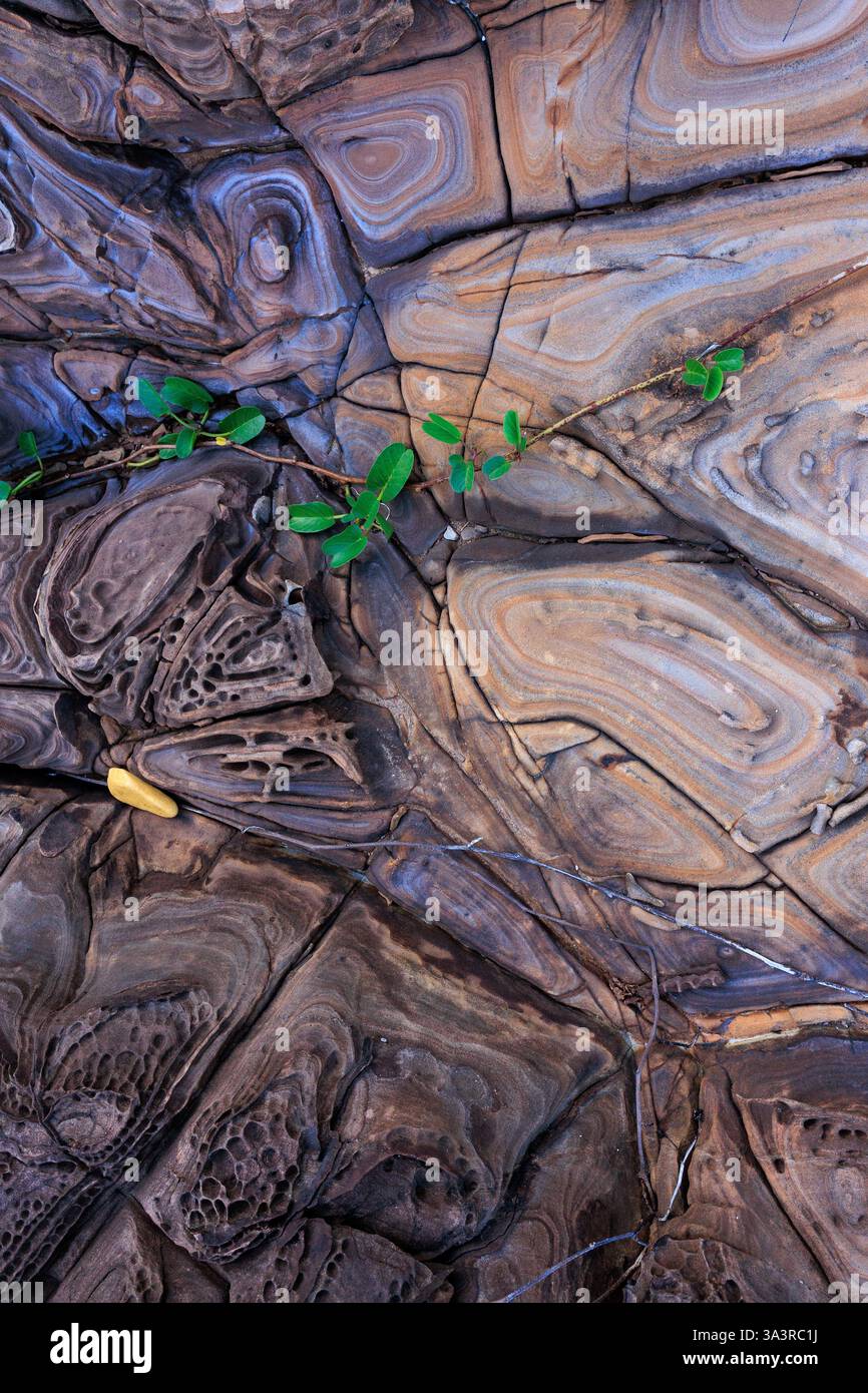 Erosion drawing incredible abstract patterns on the limestone rocks ...