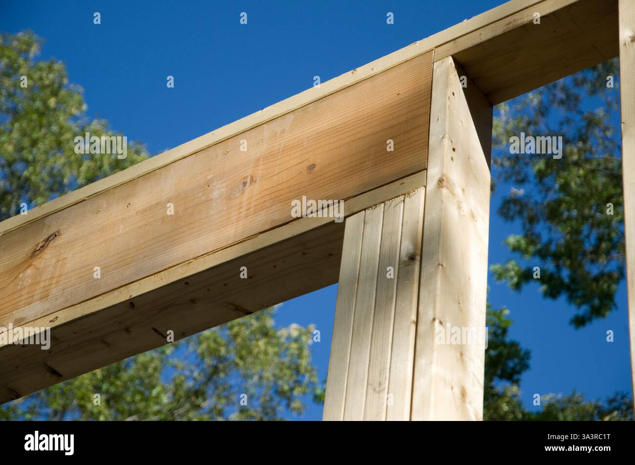 Handemade Horizontal Beam and Three Stude Corner Constructed with Two ...