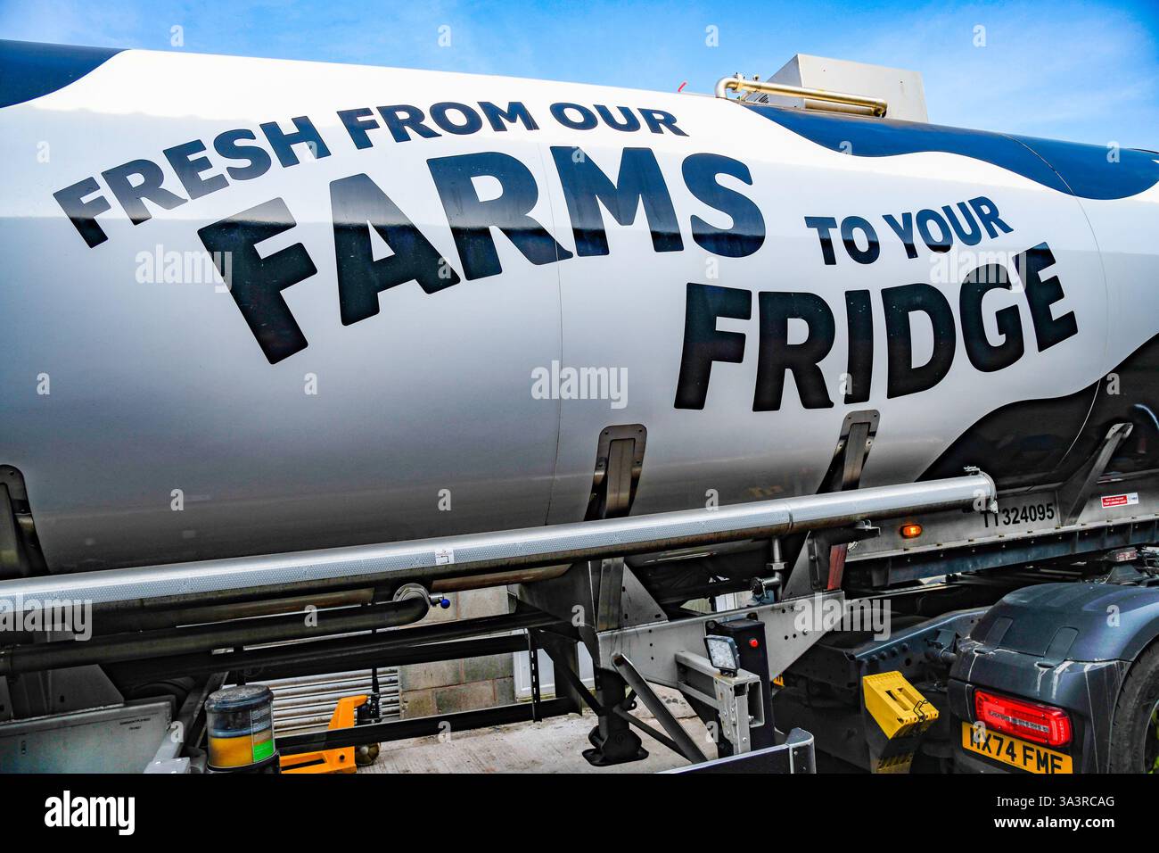 A milk tanker collecting milk from a farm in Cheshire, UK Stock Photo ...